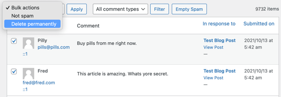 How to Quickly Batch Delete Spam Comments in WordPress