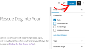 How to Add Captions to Featured Images in WordPress