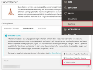 How to Clear Your Cache in WordPress (Step by Step)