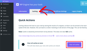 How to Clear Your Cache in WordPress (Step by Step)