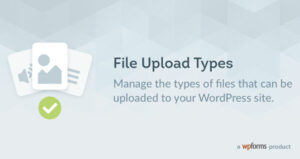 6 Best File Upload Plugins for WordPress (Free & Paid)