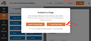 How to Customize the WordPress Reset Password Page