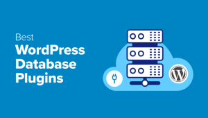 12 Best WordPress Database Plugins - Expert Pick (2025)
