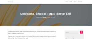 Beginner's Guide to WordPress Image Sizes (+ Best Practices)