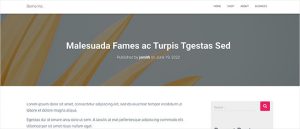 Beginner's Guide to WordPress Image Sizes (+ Best Practices)