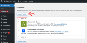 Should I Update WordPress or Plugins First? (Proper Update Order)