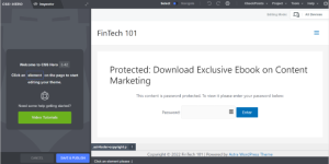 How to Customize a Password Protected Page in WordPress