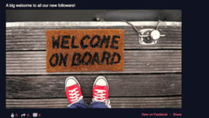 How to Embed a Facebook Group Feed in WordPress