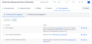 Internal Linking for SEO: The Ultimate Guide of Best Practices