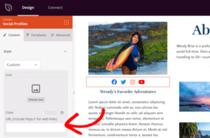 How to Display Author's Twitter and Facebook on the Profile Page