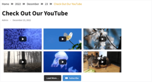 How to Start a Video Blog (Vlog) And Make Money in 2024