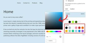 How to Customize Colors on Your WordPress Website
