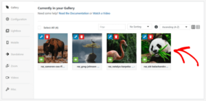 How to Add Magnifying Zoom for Images in WordPress (3 Ways)