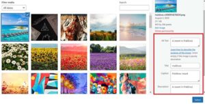 How to Properly Add Images in WordPress (Step by Step)