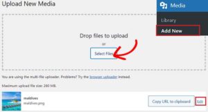 How to Properly Add Images in WordPress (Step by Step)