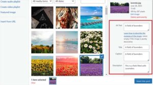 How to Properly Add Images in WordPress (Step by Step)