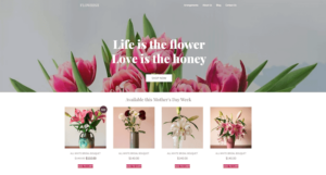 SeedProd Review: Is it the Right Page Builder For You?