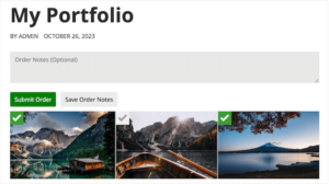 Envira Gallery Review: The Right Gallery Plugin for You?