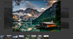 Envira Gallery Review: The Right Gallery Plugin for You?