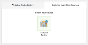 Envira Gallery Review: The Right Gallery Plugin for You?