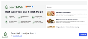 SearchWP Review: The Right Custom Search Plugin for You?