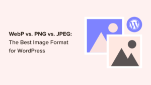 WebP vs. PNG vs. JPEG: The Best Image Format for WordPress