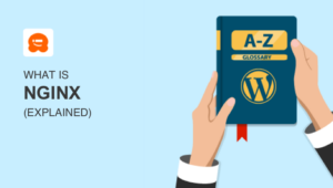 What Is NGINX? What Is a Web Server?