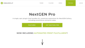 NextGEN: Is It the Right WordPress Gallery Plugin for You?