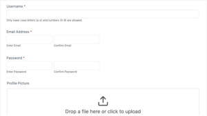Formidable Forms: The Right Form Builder Plugin for You?