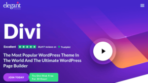 Divi Review: Is It the Right Theme and Page Builder for You?