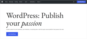 What Are the Limitations of WordPress.com? (Expert Insights)