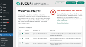 Sucuri Review: The Right WordPress Security Plugin for You?