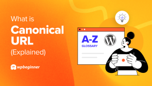 What is a Canonical URL in WordPress?