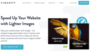 Imagify Review: The Right Image Optimization Plugin for You?