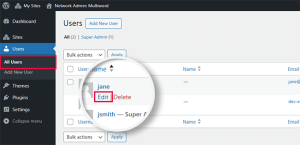 How to Add a Super Admin User Role in WordPress Multisite
