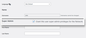 How to Add a Super Admin User Role in WordPress Multisite
