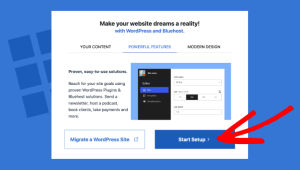 How to Make a One-Page Website with WordPress (Step by Step)
