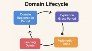 What Is a Domain Backorder? (And How to Properly Place One)