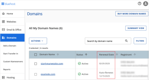 How to Check Domain Expiration Date: Avoid Website Downtime