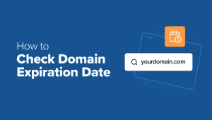 How to Check Domain Expiration Date: Avoid Website Downtime